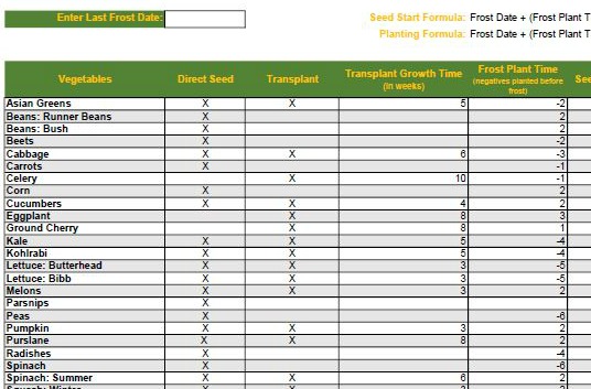 It Is Not Too Late to Start Seeds • Craft Thyme
